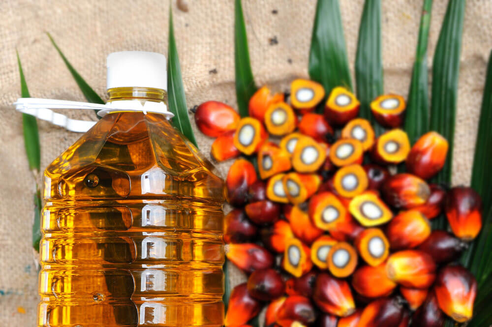 Edible Oil Manufacturers | Sunflower & More | 3F Industries
